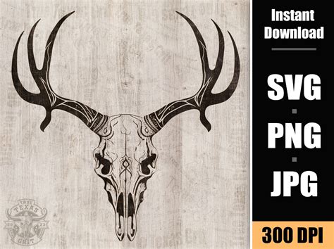 Deer Skull Drawing