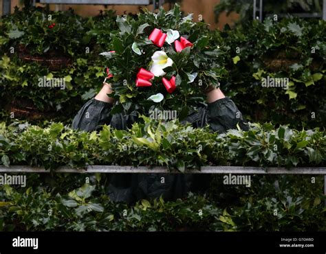 Derek Robertson From Woodside Nursery In Larbert Viewing A Finished Holly Christmas Wreath