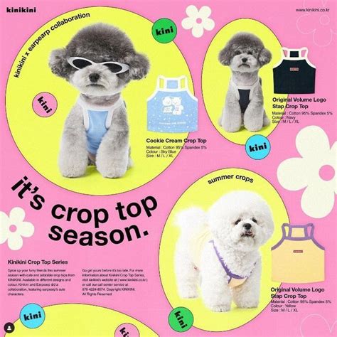 Kinikini Sw Content การออกแบบเว็บไซต์ การออกแบบปกหนังสือ โปสเตอร์