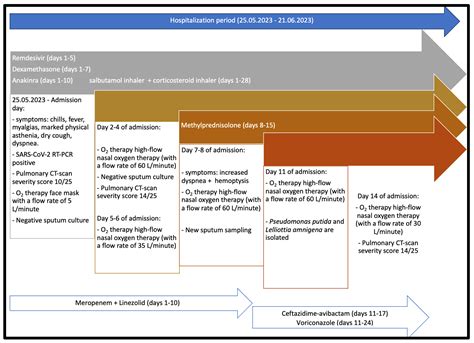 Lelliottia Amnigena And Pseudomonas Putida Coinfection Associated With A Critical Sars Cov 2