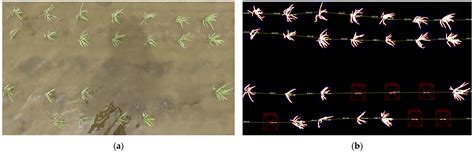 Detection Method For Rice Seedling Planting Conditions Based On Image Processing And An Improved
