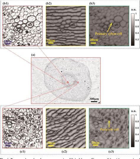 Robust Full Pose Parameter Estimation For The Led Array In Fourier