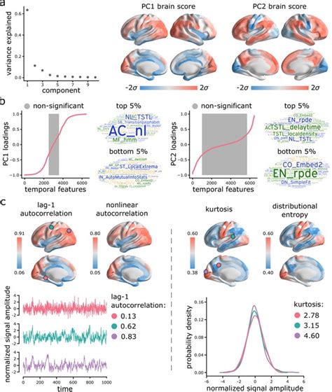 Topographic Gradients Of Intrinsic Dynamics Across Neocortex Elife