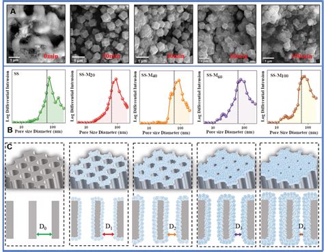 Ac Sem Images Pore Size Distribution And Pore Growth Schematic