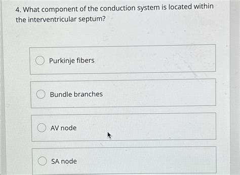 Solved What Component Of The Conduction System Is Located