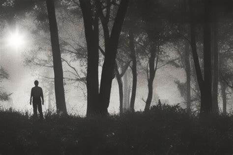 Premium Ai Image Silhouette Of Lone Man In Forest