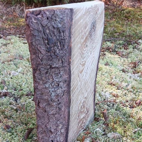 Tree Slab Etsy
