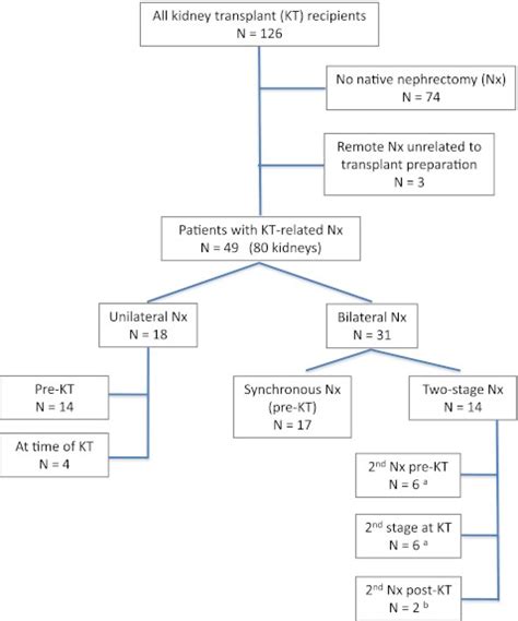 Summary Of Patients And Nephrectomy Procedures Aone Patient Each Had Download Scientific