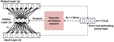Schematic Representation Of The Coupled Neurovascular Model Download Scientific Diagram