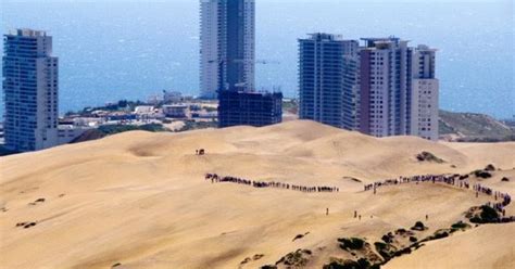 Planeta Concón 20 hectáreas de las dunas de Concón serán protegidas