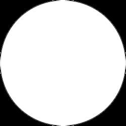 100 Sided Polygon 3d