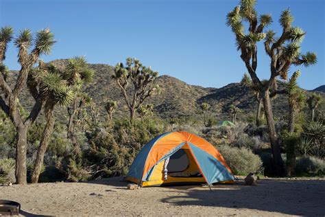 Best Camping In Joshua Tree National Park Ca 2026