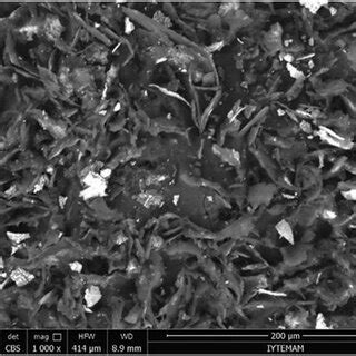 Scanning Electron Microscopy SEM Images Of FeNPA Synthesized By ASP