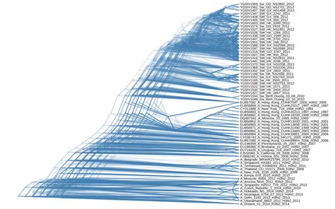 Chapter 4 Phylogenetic Tree Visualization Data Integration