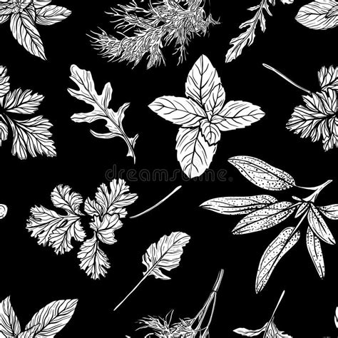Wild Grass Pattern Field Herbs And Medical Plants Stock Illustration