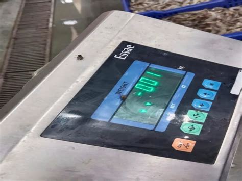 An American Who Managed A Shrimp Processing Plant In India Files A