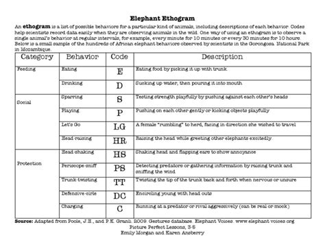 Elephant Ethogram Download Free Pdf Elephant Ethology