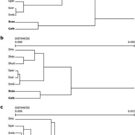 Euclidean Distance Average Linkage Cluster Analysis By Nucleotide