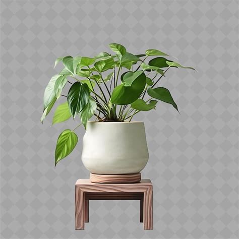 Premium Psd A Plant In A Pot On A Table