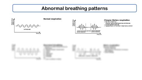 Solution Abnormal Breathing Patterns Pft Artificial Ventilation