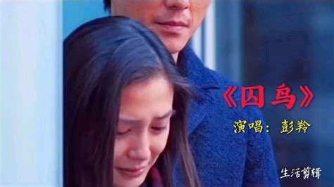 彭羚《囚鸟》，超好听音乐流行音乐好看视频