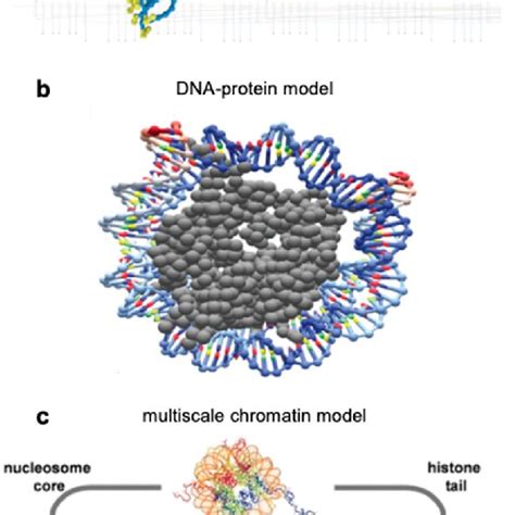 Three Multiscale Hybrid Scale Models Used To Solve Tractability