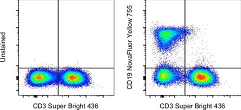 Cd19 Monoclonal Antibody Hib19 Novafluor™ Yellow 755 Ebioscience