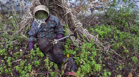 Nagoro A Creepy Japanese Village Where Dolls Replace The Departed