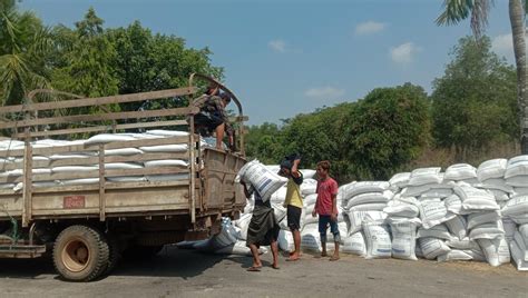 ရွှေပြည်သာမြို့နယ်၌ အိန္ဒိယနိုင်ငံမှလှူဒါန်းသော ဆန်နှင့်ဂျုံအိတ်များအား