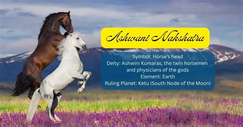 Ashwani Nakshatra A Guide To Its Personality Traits And Career Pathways