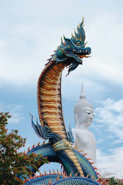 แลนด์มาร์กแห่งใหม่ พญานาคมุกดาหาร ไปคนเดียว