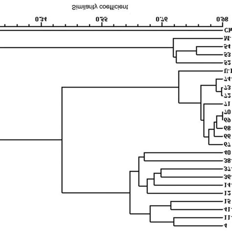 Dendrogram Illustrating The Genetic Relationships Of The 24 Aegilops