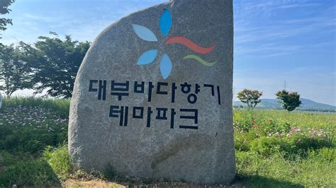 🇰🇷 경기도 안산 대부바다향기테마파크1 👣 Youtube