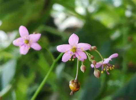 慈誠羅珠堪布 論典強調的依法不依人，即學習和研究佛法的時候要相信、依靠正法或真理，而不能依靠人的名聲、地位、勢力的