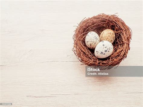 나무 배경에 누워 가지의 둥지에 메추라기 계란 부활절엽서 0명에 대한 스톡 사진 및 기타 이미지 0명 개체 그룹 계절