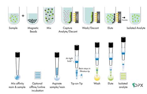 Tip On Tip Spe For Immunoaffinity Purification