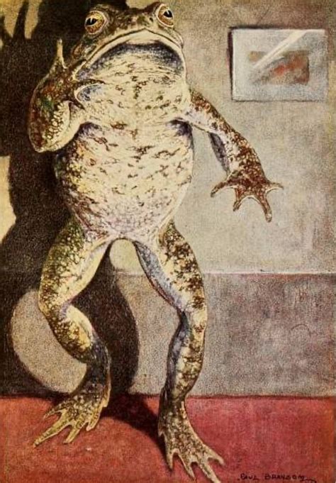 Mr Toad Public Domain Super Heroes Fandom