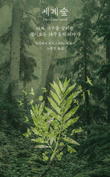 세계숲 교보문고 꽃피는아침마을