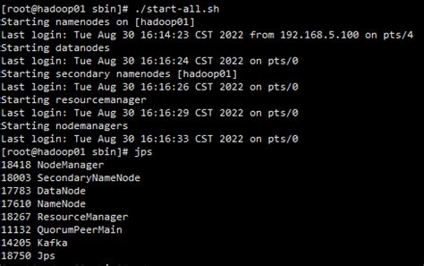 Hadoop Datanode Java