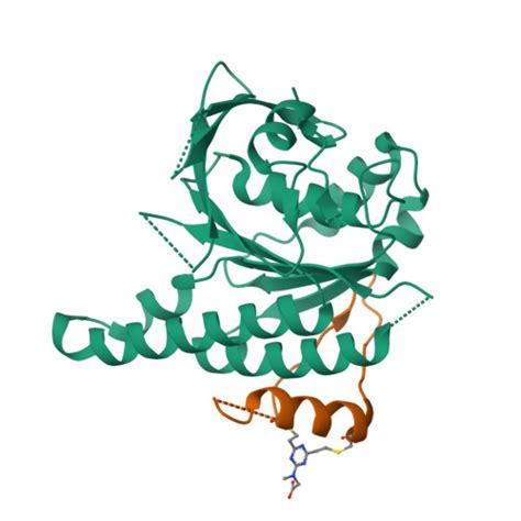 Rcsb Pdb 8c3j Stapled Peptide Sp2 In Complex With Humanised Rada Mutant Humrada22