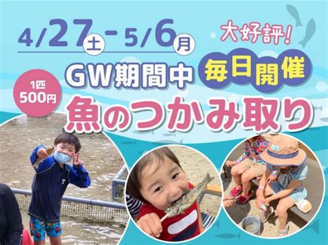 GW期間中魚のつかみ取り毎日開催 公式川遊びを満喫八風キャンプ場三重県菰野町