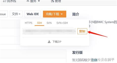 git实际使用简单教程 以gitee为例 gitee上的项目怎么运行 csdn博客