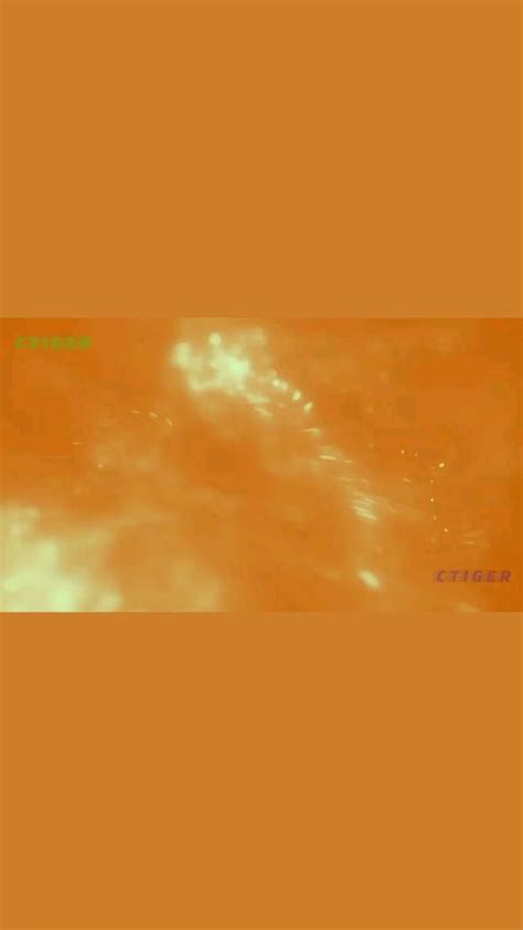 Sambalpuri Status Video Sambalpuri Status Artofit