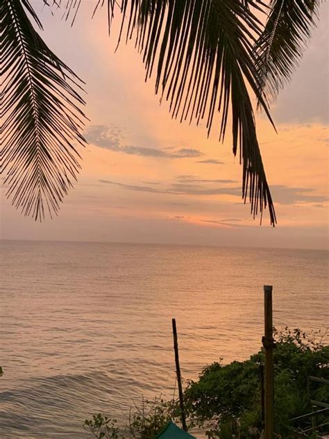 Tiny Temple India Venue Report