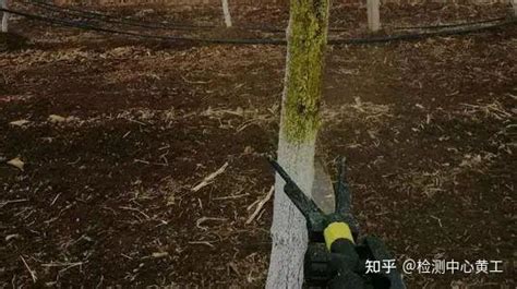 石硫合剂制作配方及使用注意事项 知乎