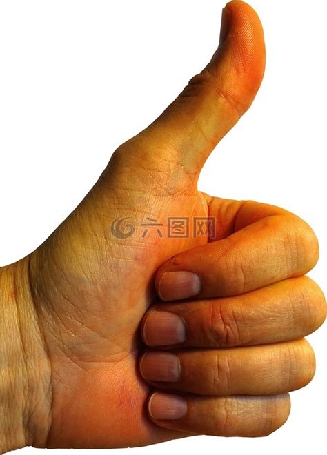 拇指竖起大拇指手指高清图库素材免费下载图片编号7108035 六图网