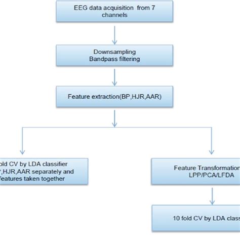 Flowchart Of The Methodology Followed To Process The Eeg Data