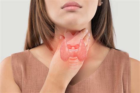 愛甲郡の甲状腺疾患治療｜愛川つつじ糖尿病内科｜本厚木
