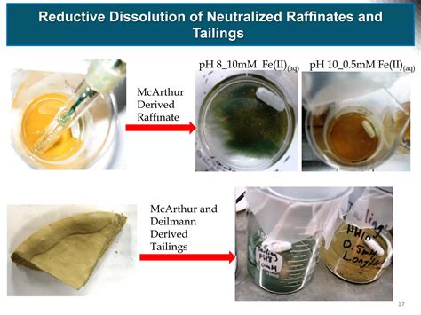 Controls Of Toxic Elements In Abiotic Reductive Dissolution Of Uranium Mill Raffinates And