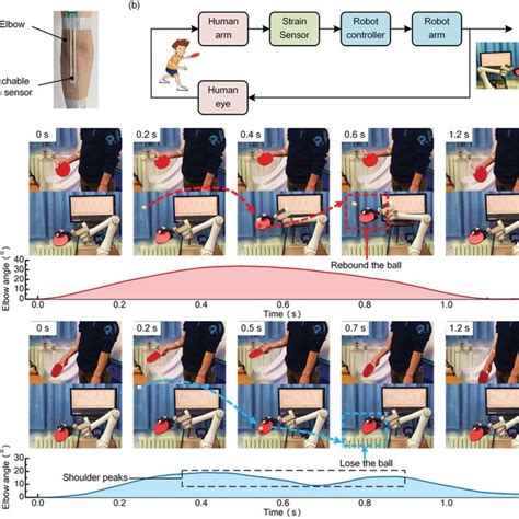 Stretchable Conductive Elastomer And Its Electric Responses To Dynamic Download Scientific
